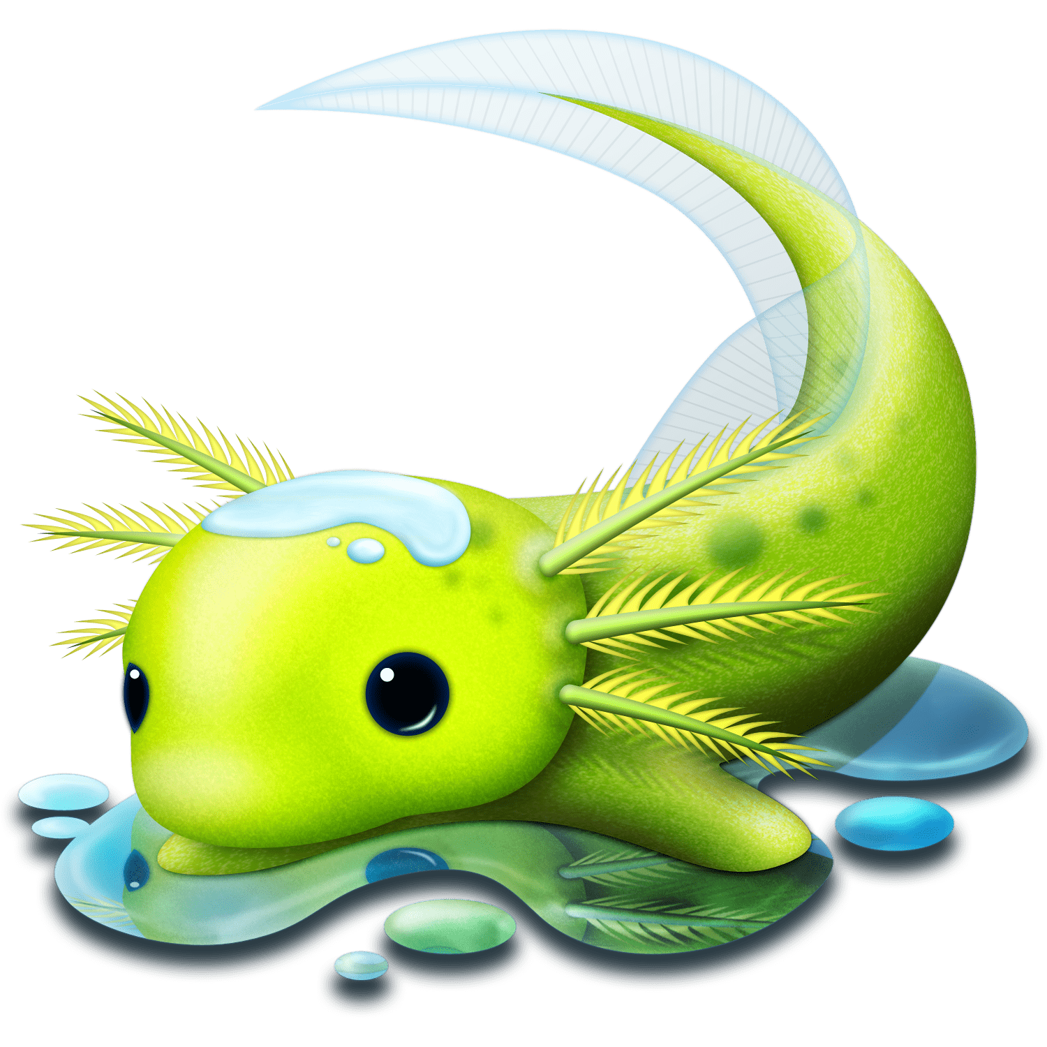 Downloads · Macroplant