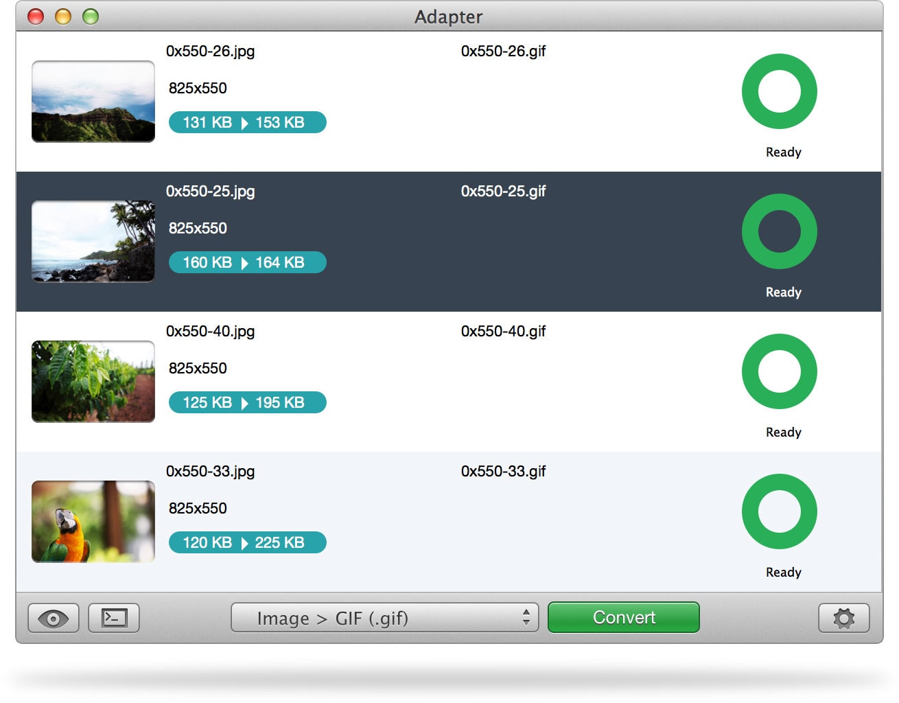 Free Image and Video Converter for Mac and PC · Adapter