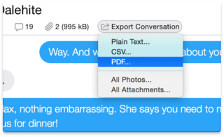Save iPhone Text Messages on your Mac or PC Computer · iExplorer